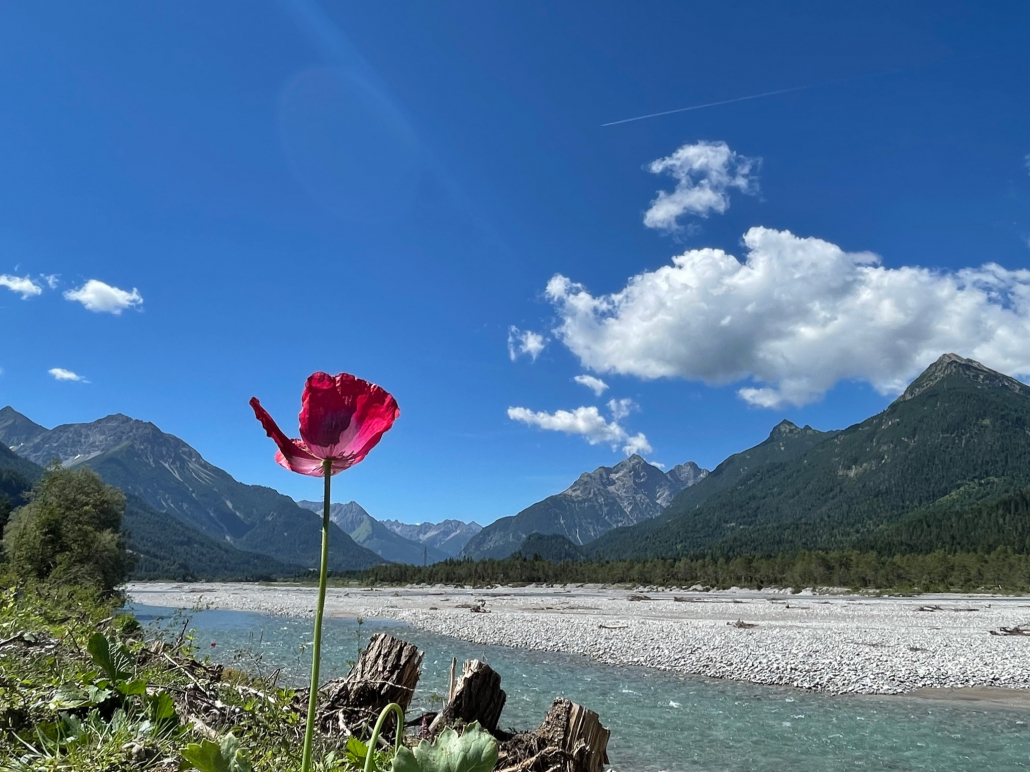 Chemin de la Lech 2024 – BuenCamino